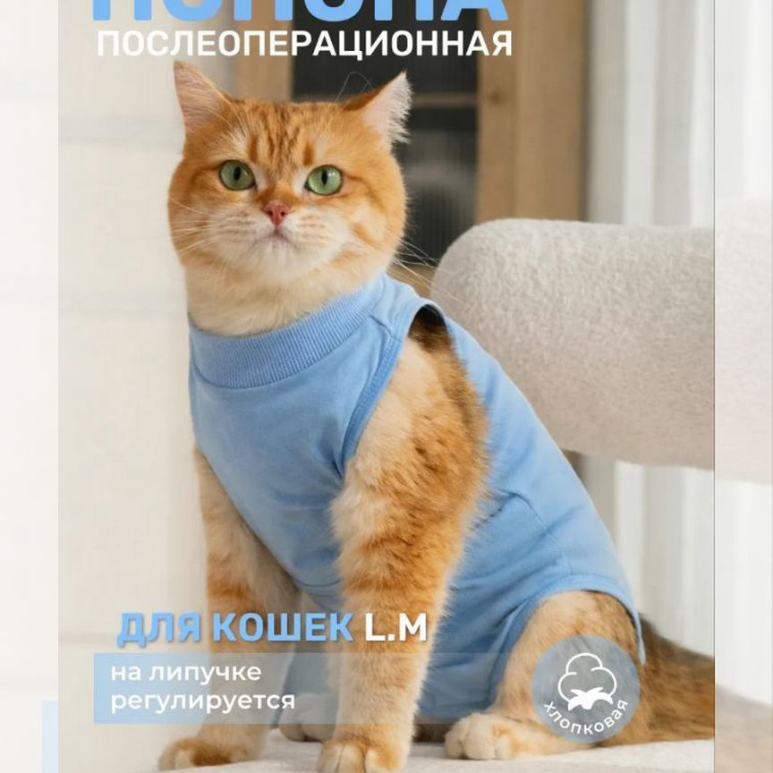 Попона костюм для кошкек после операции