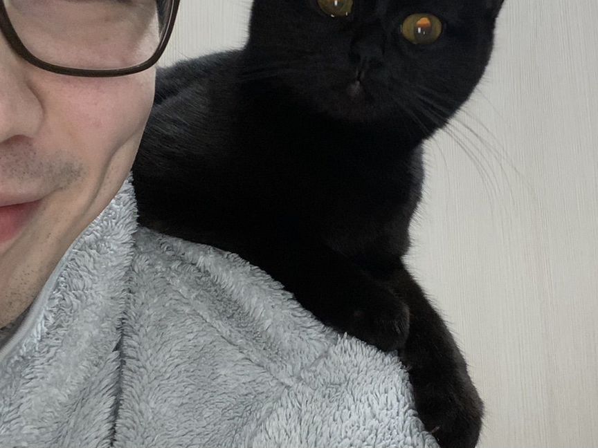 Кошка