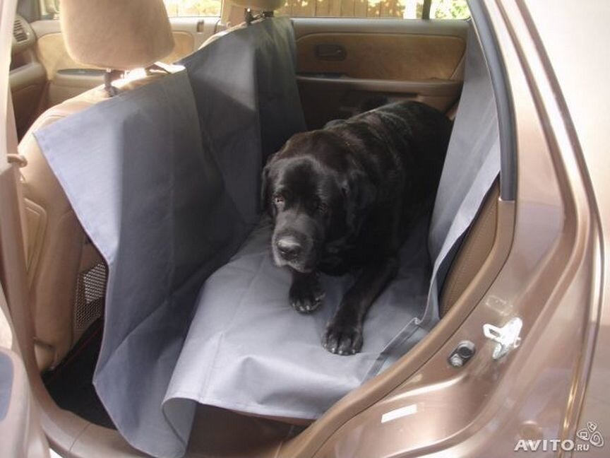 Накидка для перевозки собаки в автомобиле
