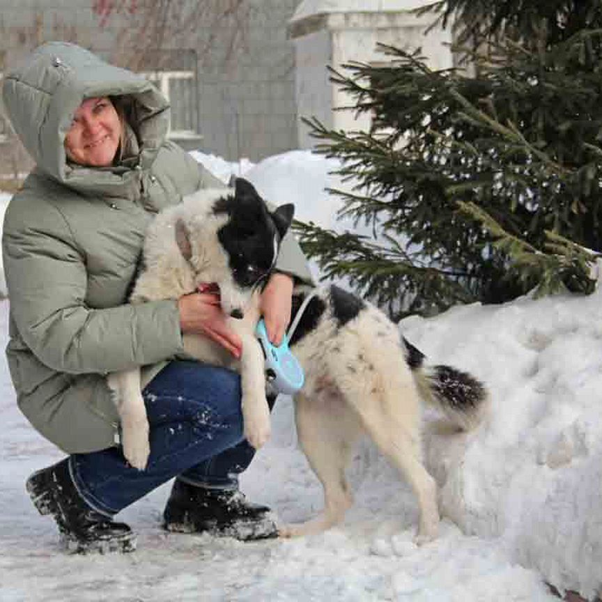 Ласковый и весёлый пёс Шлёпа