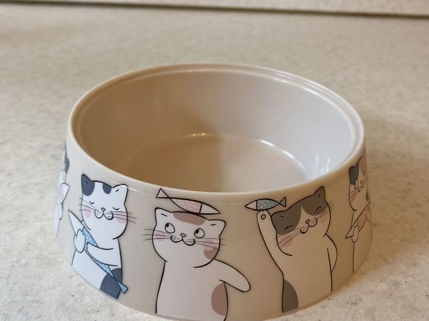 Кошачья миска