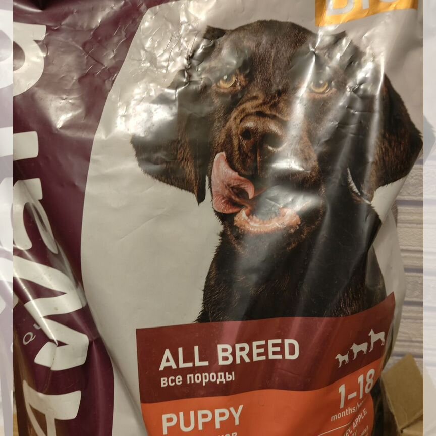 Корм для собак щенков авард