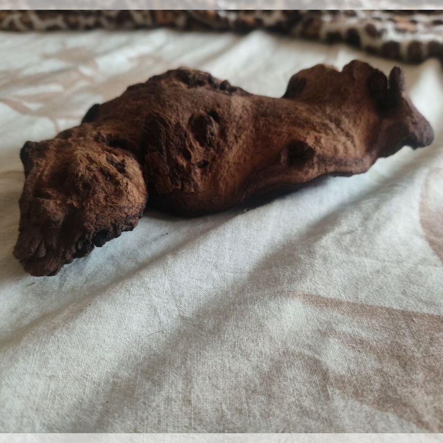 Коряга для аквариума