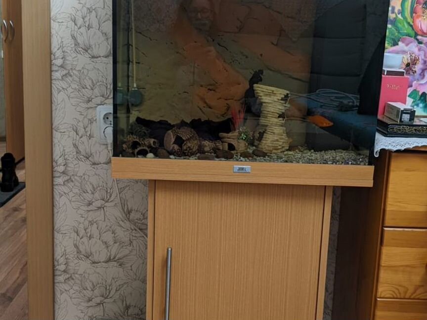 Отдам бесплатно аквариум