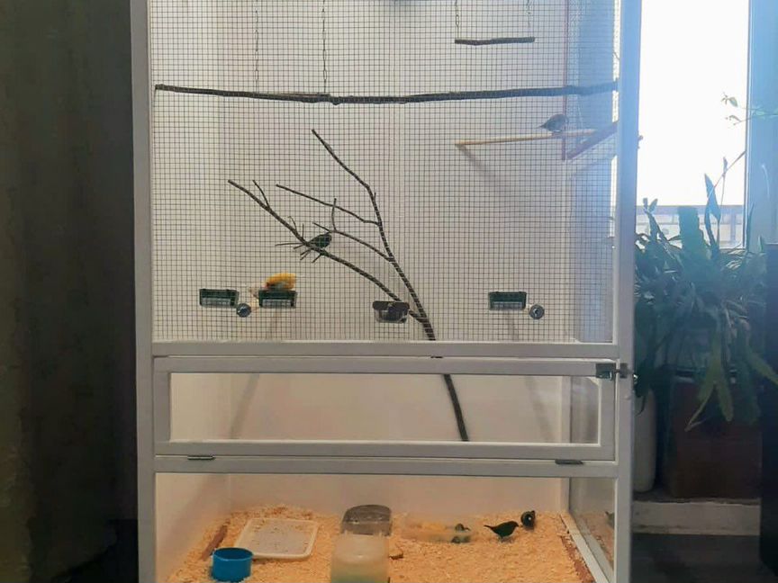 Клетка для птиц и попугая