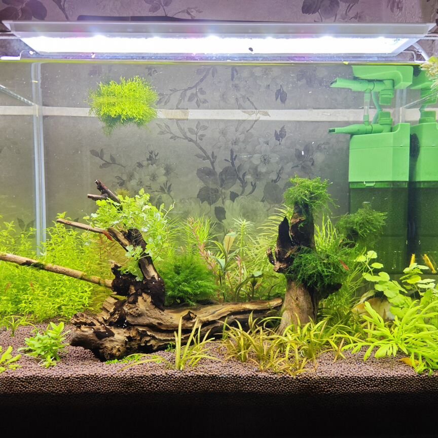 Аквариум - 30л с растениями и живностью