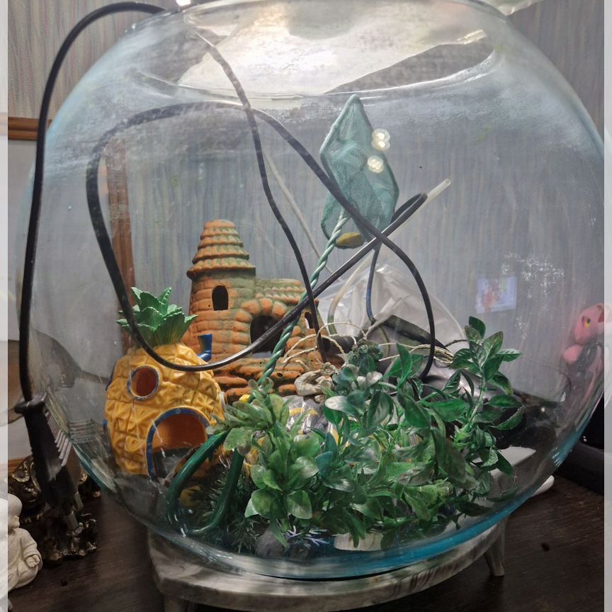 Аквариум круглый