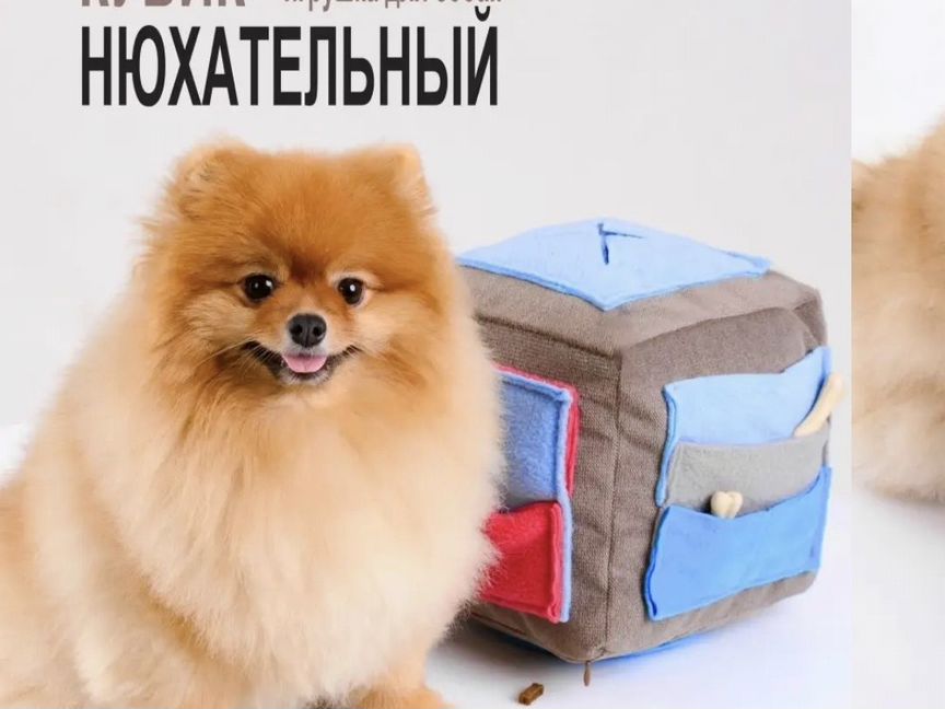 Нюхательный кубик для собак