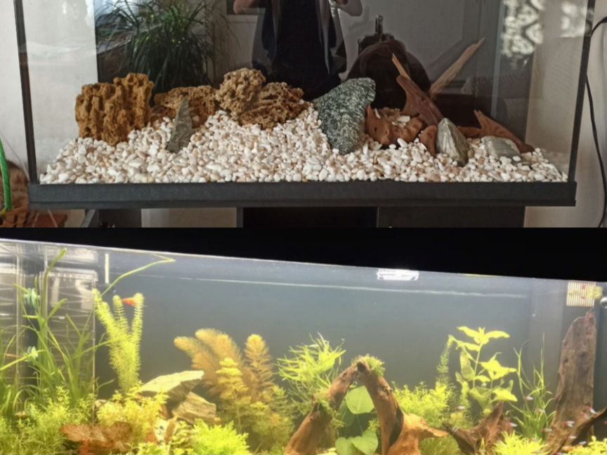 Продам 2 аквариума в сборе