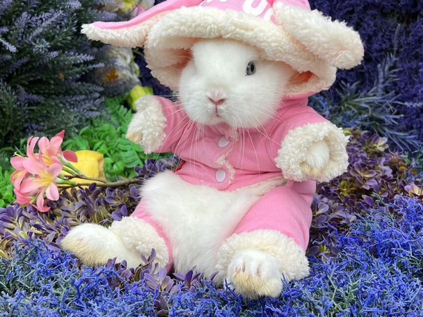 Костюм для кролика