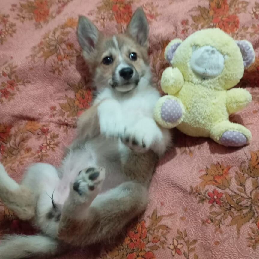 Девочка- малышка