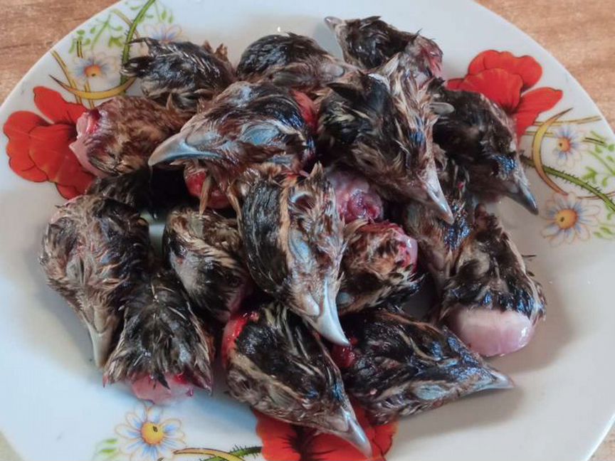 Головы и лапы перепелиные
