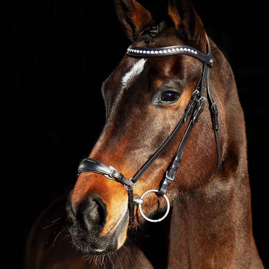 Оголовье трензельное horze фулл уздечка новая