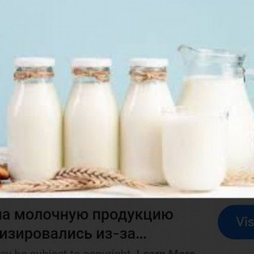 Хлеб для корма животных
