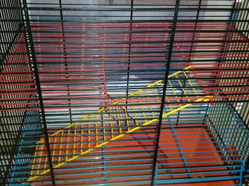 Клетки 3 этажа для крыс хомяков мышей