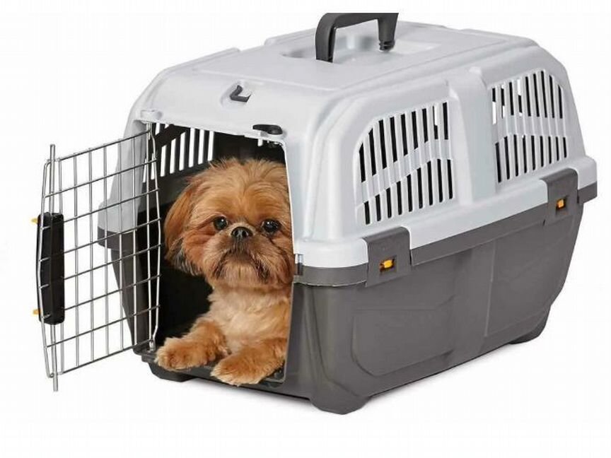 Переноска аренда или продажа