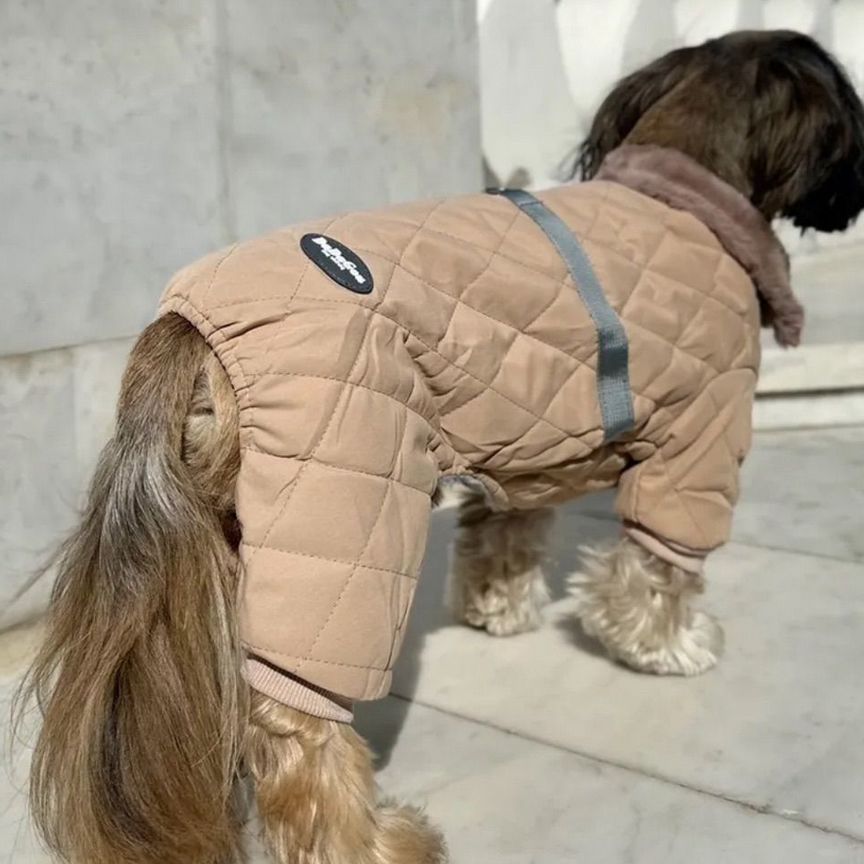 Комбинезон для собаки