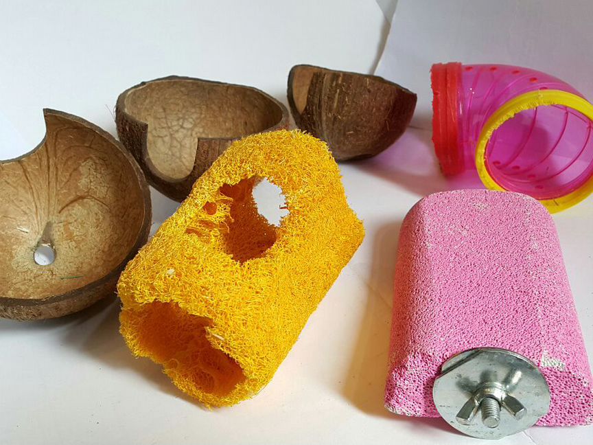 Для грызунов