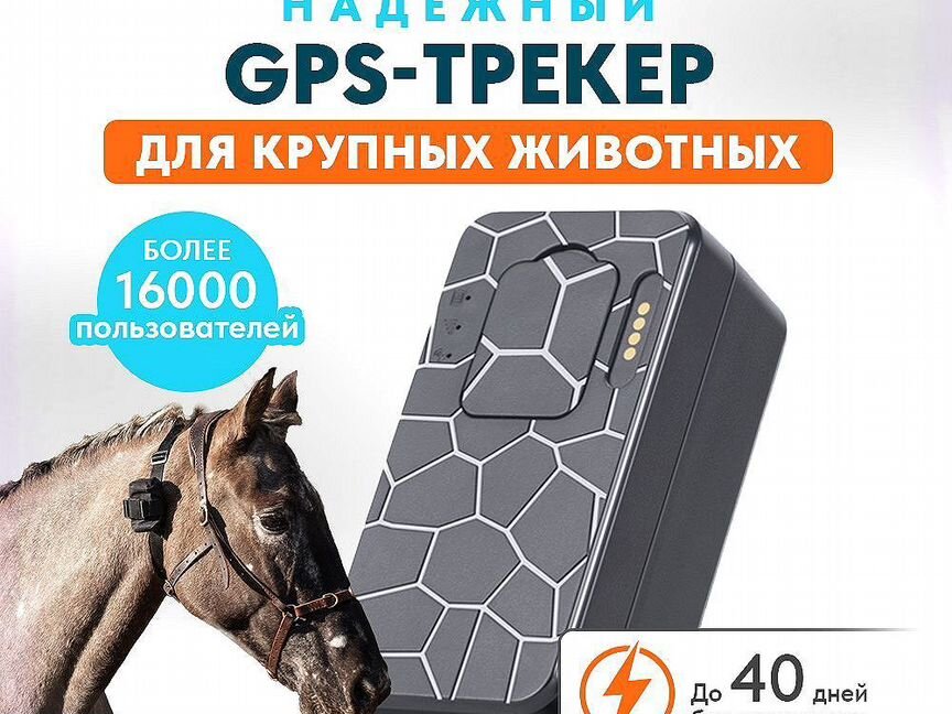 Gps tracker для коров