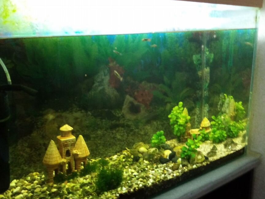 Украшение для аквариума
