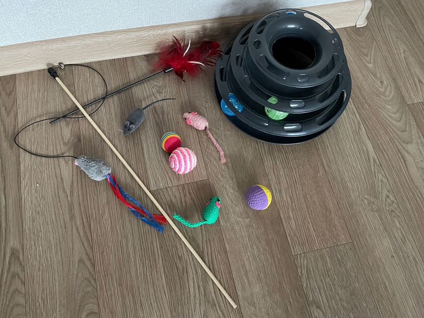 Принадлежности для кошек