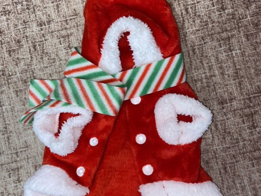 Костюм для кошки/котёнка