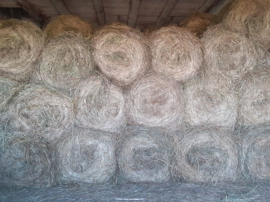 Продам сено