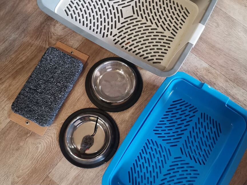 Лоток для кошек, миски, когтеточка