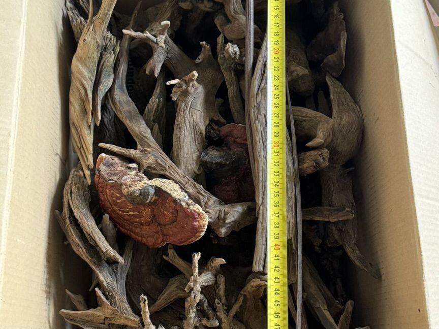 Коряги дрифтвуд для террариума, аквариума