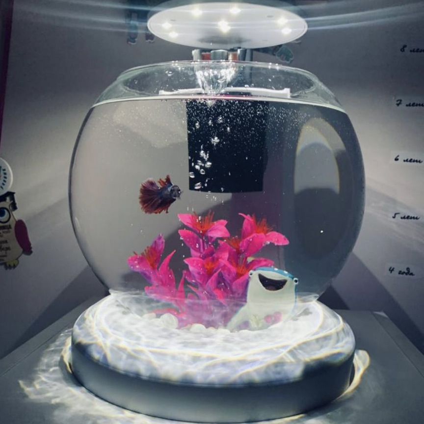 Круглый аквариум tetra для петушка
