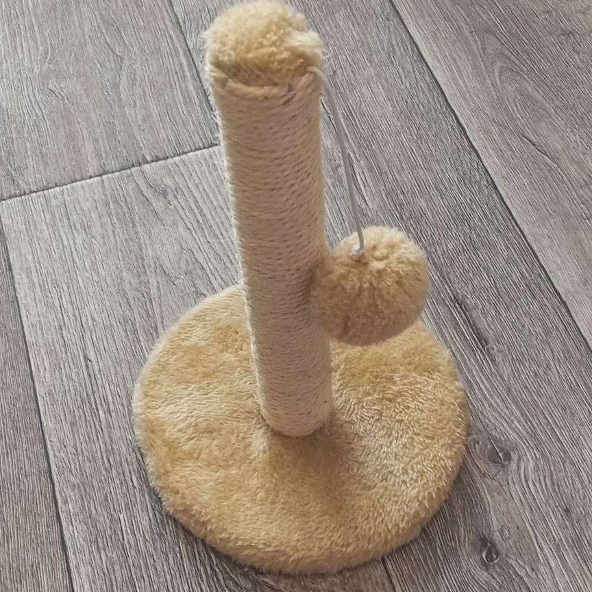 Когтеточка