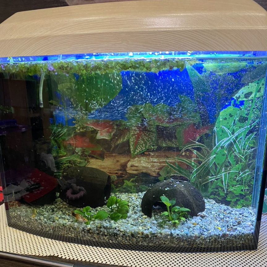 Аквариум на 40 литров