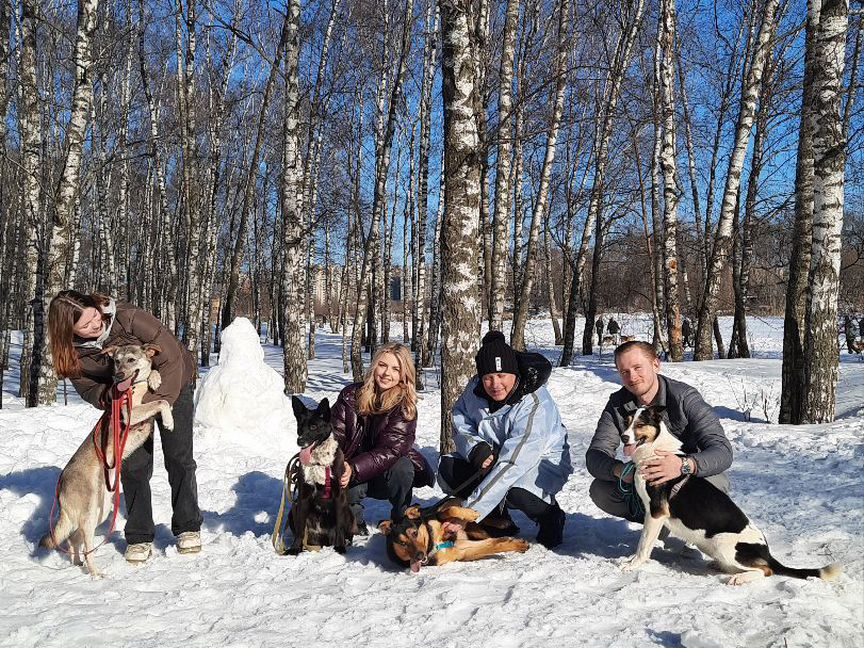Помощь собакам в приюте