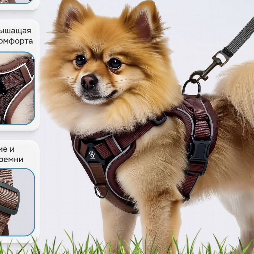 Шлейка для собаки мелкой породы