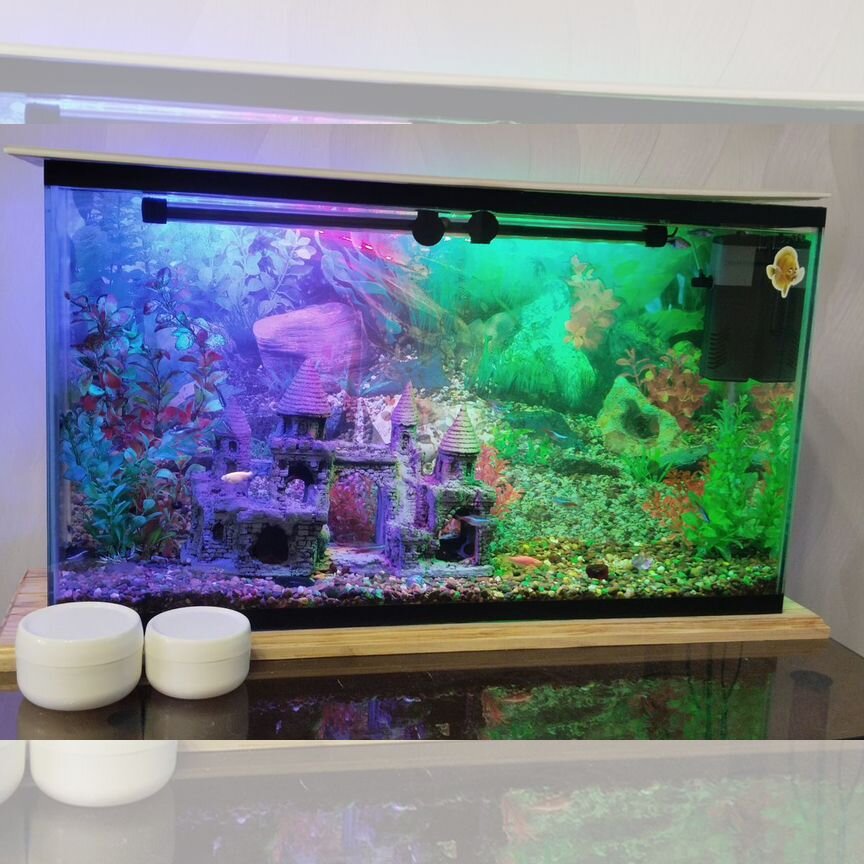 Аквариум с рыбками