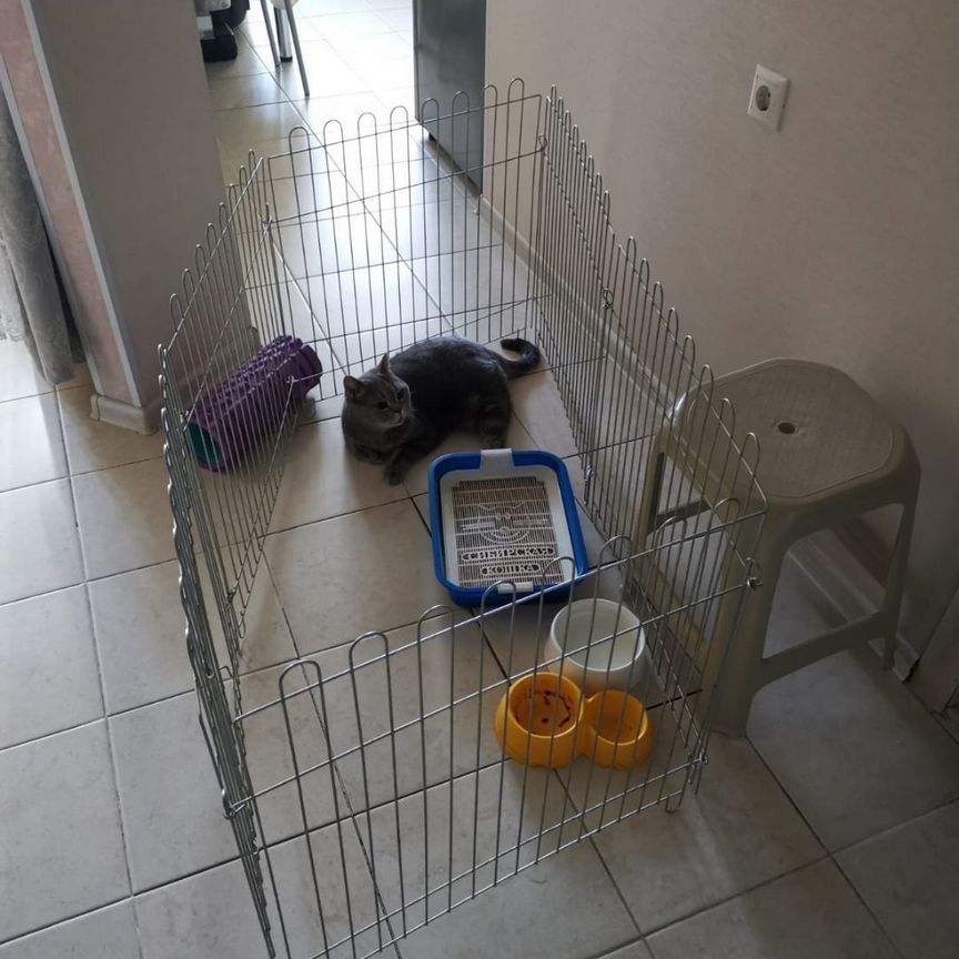 Клетка вольер для кота, собаки, животных