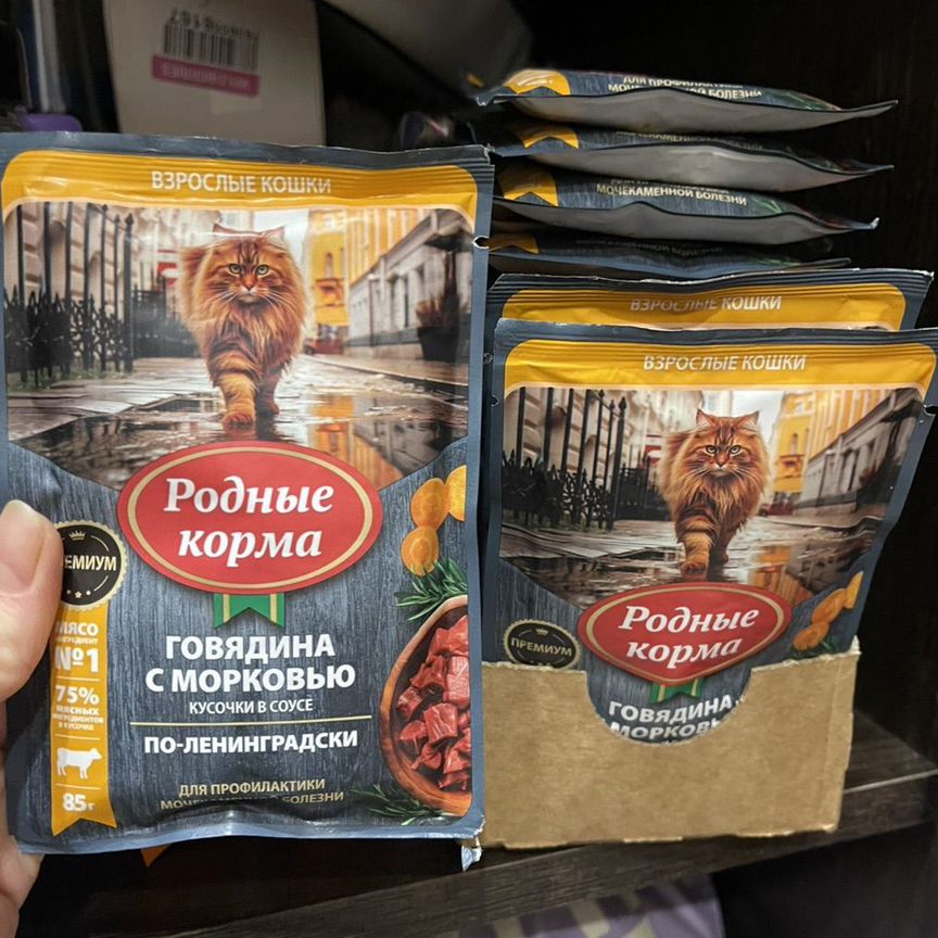 Корм для кошек влажный