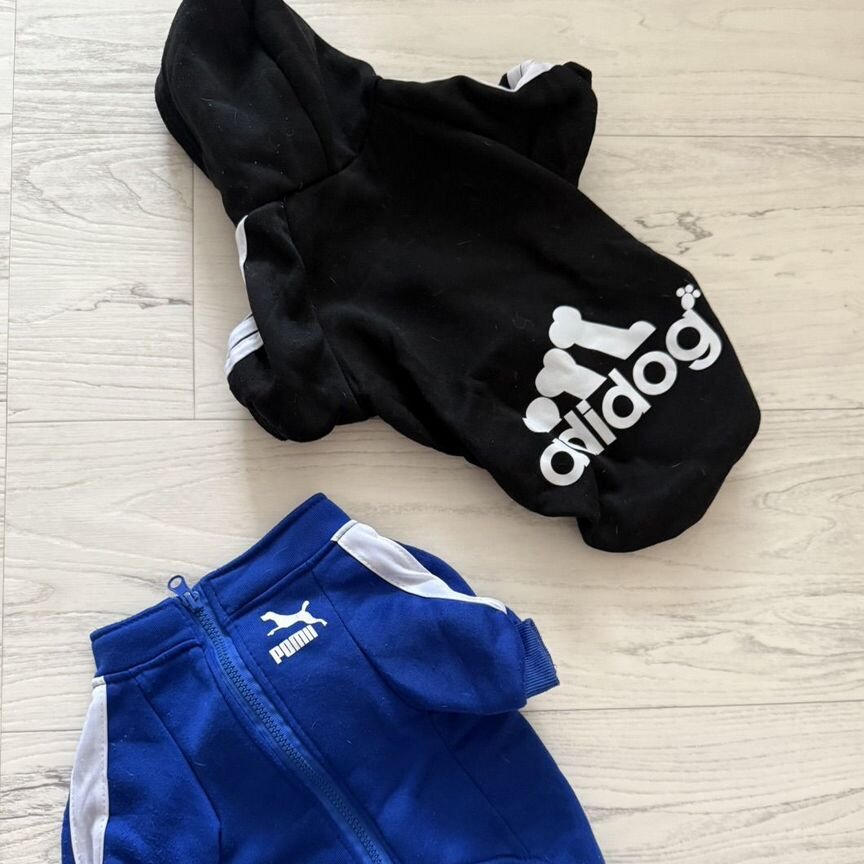 Одежда для собак