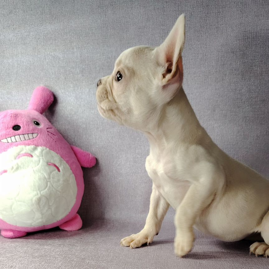 Французская крошка