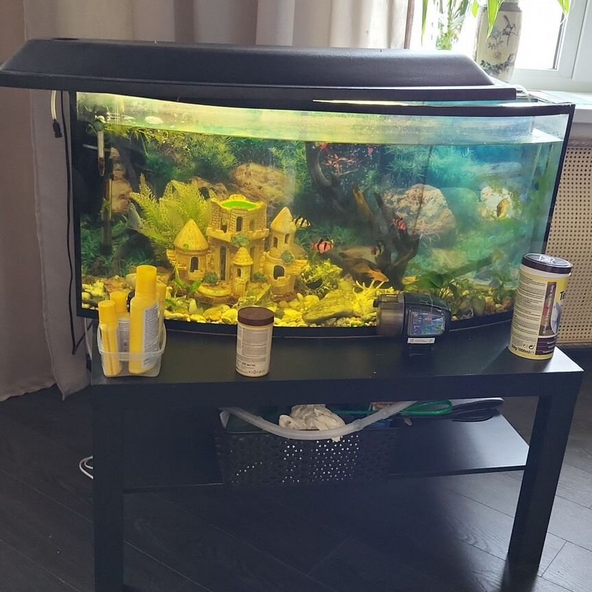 Аквариум с рыбками и оборудованием