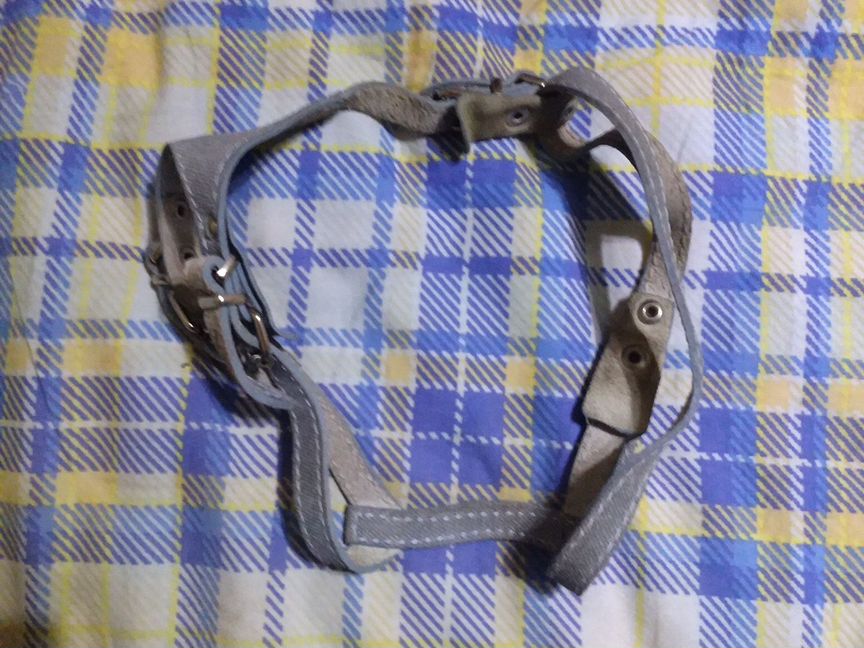 Шлейка для собаки