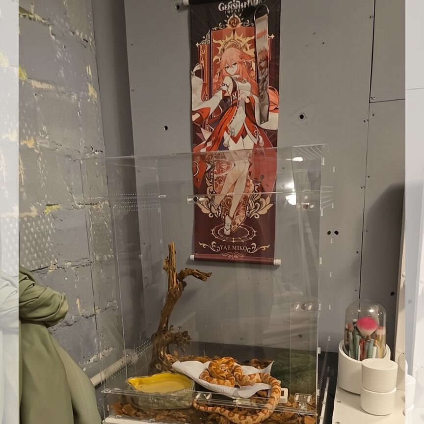 Террариум для рептилий большой