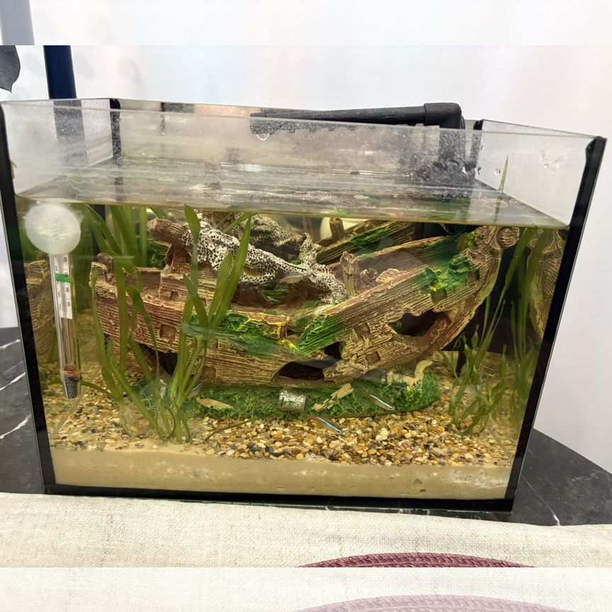 Аквариум с рыбками