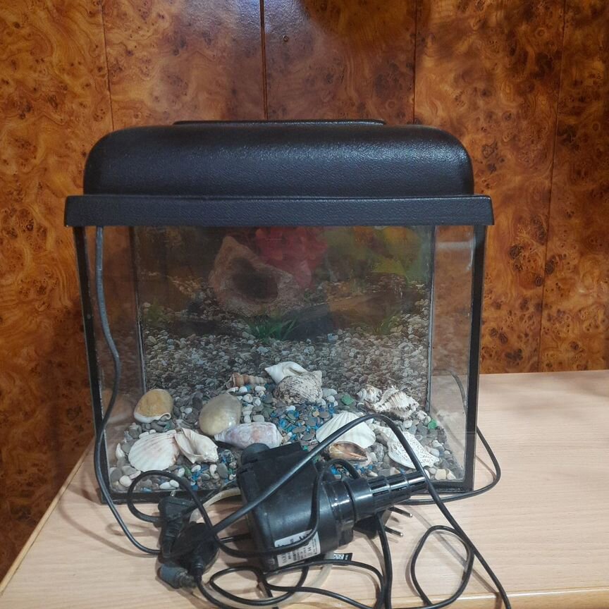 Аквариум