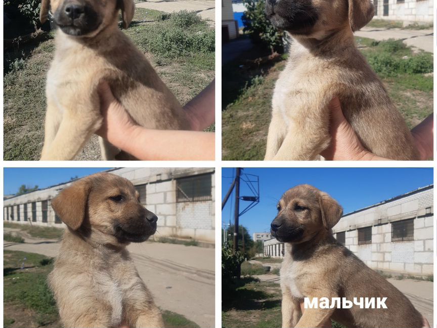 Они ждут именно Вас