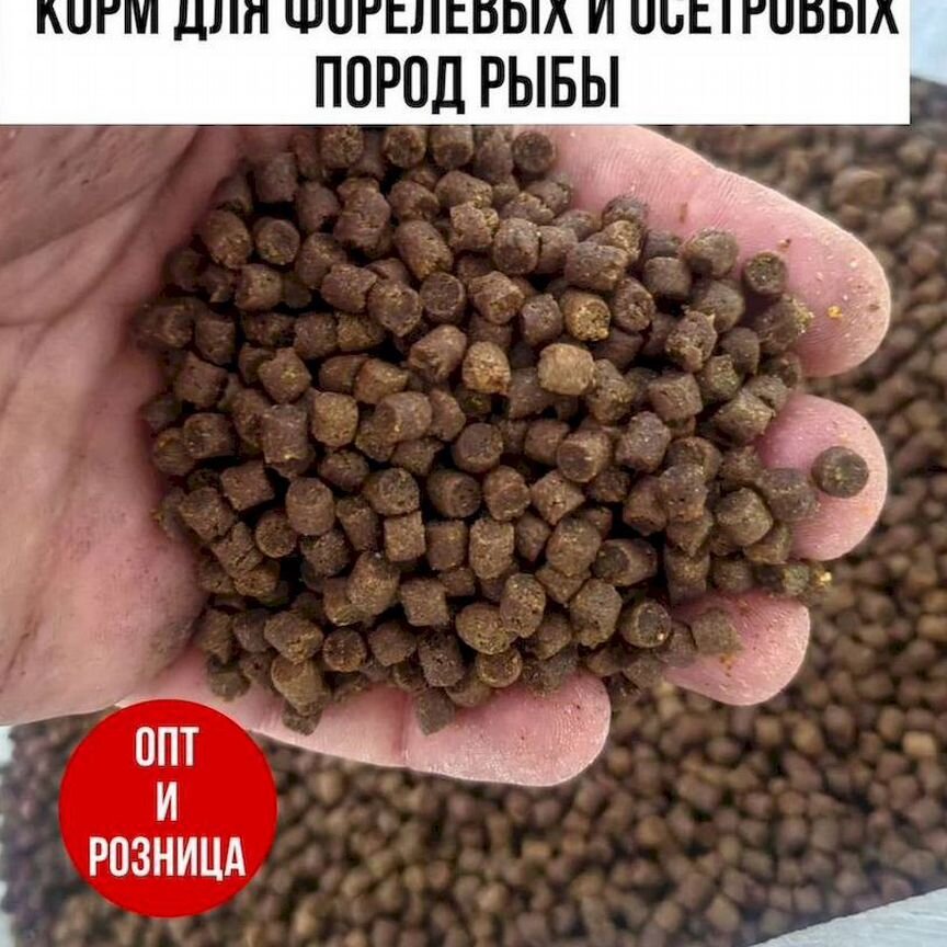 Корм для рыб
