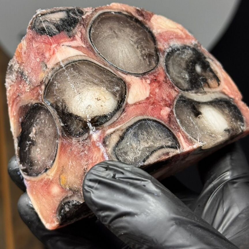 Глаза говяжьи