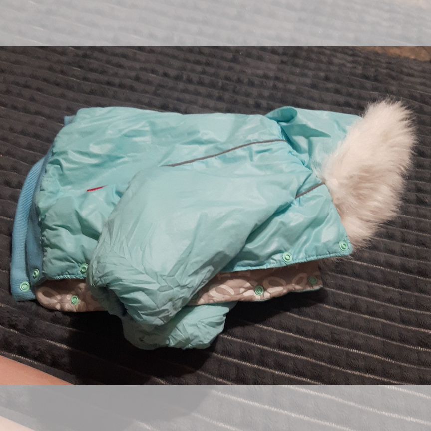 Собачья куртка