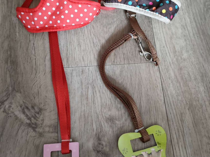 Шлейки и одежда для собак и кошек