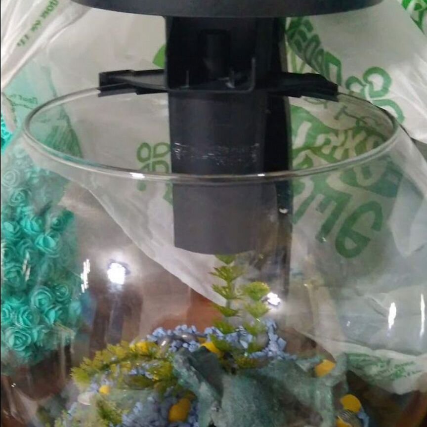 Аквариум
